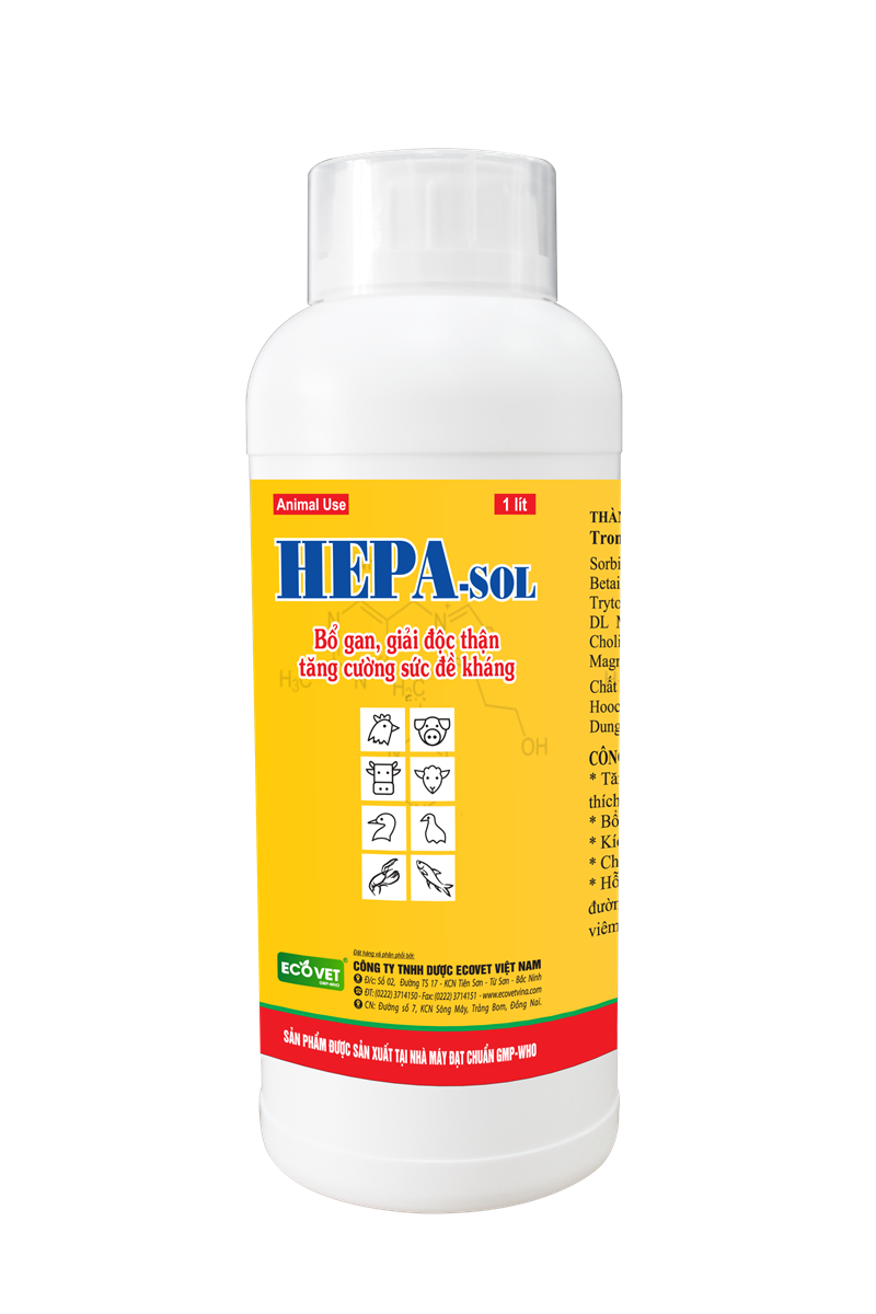 HEPA SOL - Bổ gan, giải độc thận, tăng cường sức đề kháng.
