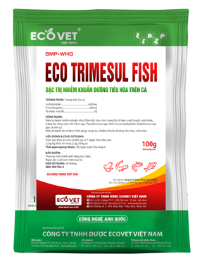ECO TRIMESUL FISH - Đặc trị nhiễm khuẩn đường tiêu hóa trên cá.